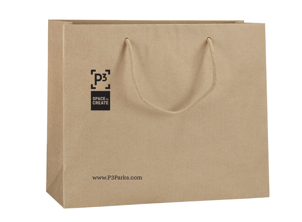 Paper bag big | P3 Parks